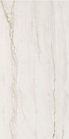 12 in. x 24 in. Eliane Fossile Matte Glazed Porcelain Wall Tile ...