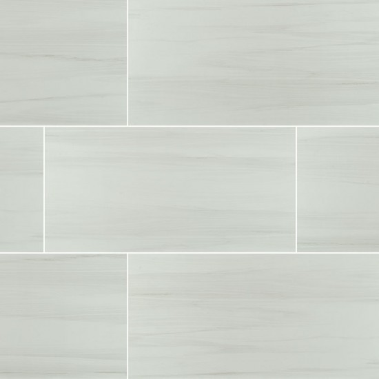 Eden Dolomite 24x48 White-Cool Porcelain Polished Floor and Wall Tile ...