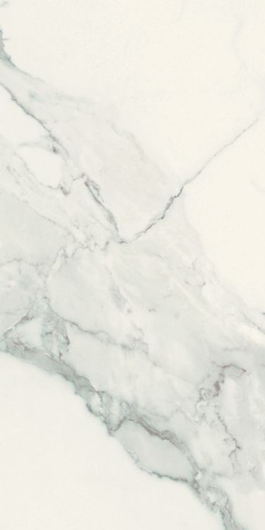 12 in. x 24 in. Classici Statuario Soft Matte Porcelain Tile | Kitchen ...